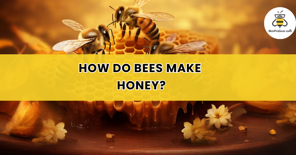 beeprogear_blog_banner_13_1200x1200.png?v=1746454413