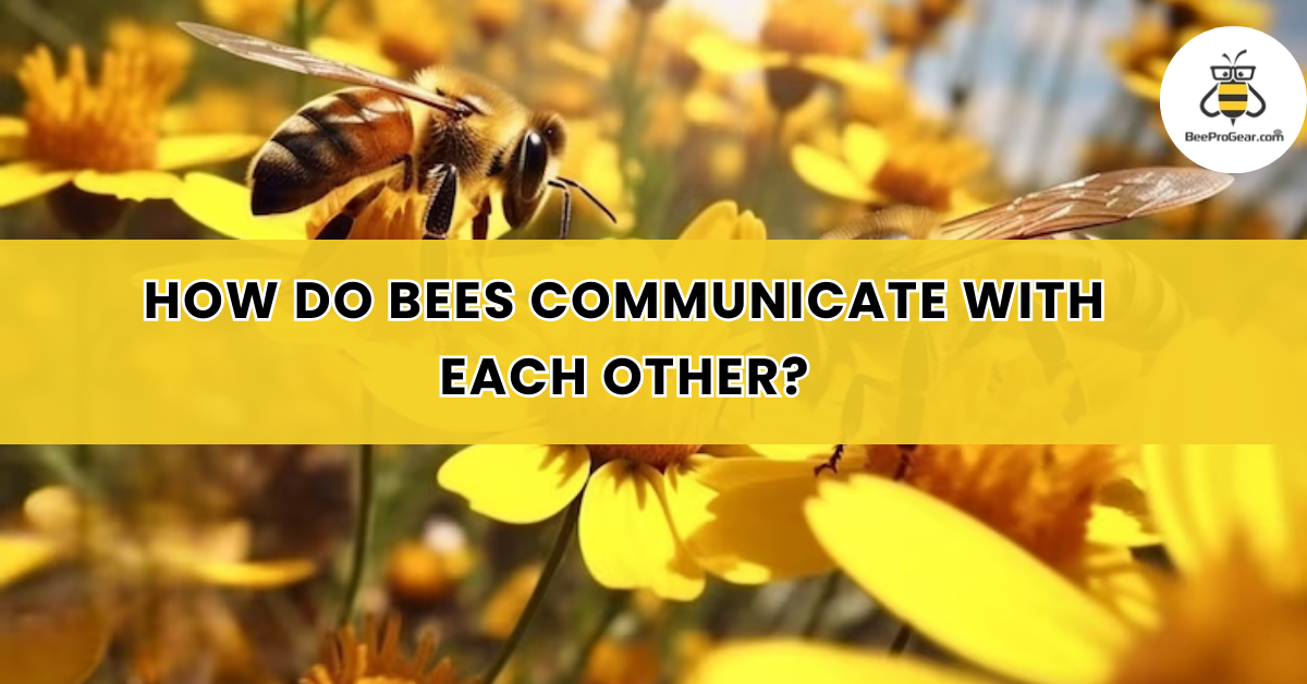 beeprogear_blog_banner_17_1200x1200.png?v=1746455675