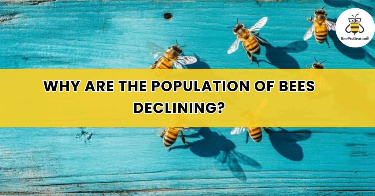 beeprogear_blog_banner_18_1200x1200.png?v=1746455939