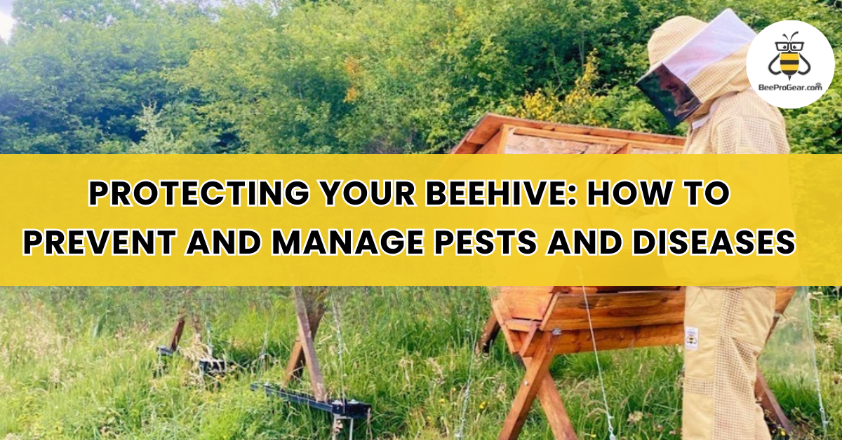 beeprogear_blog_banner_32_5ce619be-d324-4a32-8a95-3201412e9c6f ...