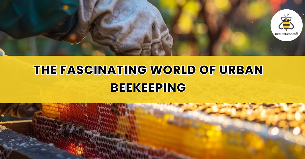 beeprogear_blog_banner_33_1200x1200.png?v=1746615223