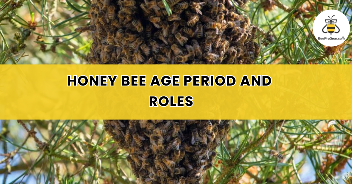 beeprogear_blog_banner_39_1200x1200.png?v=1746617503