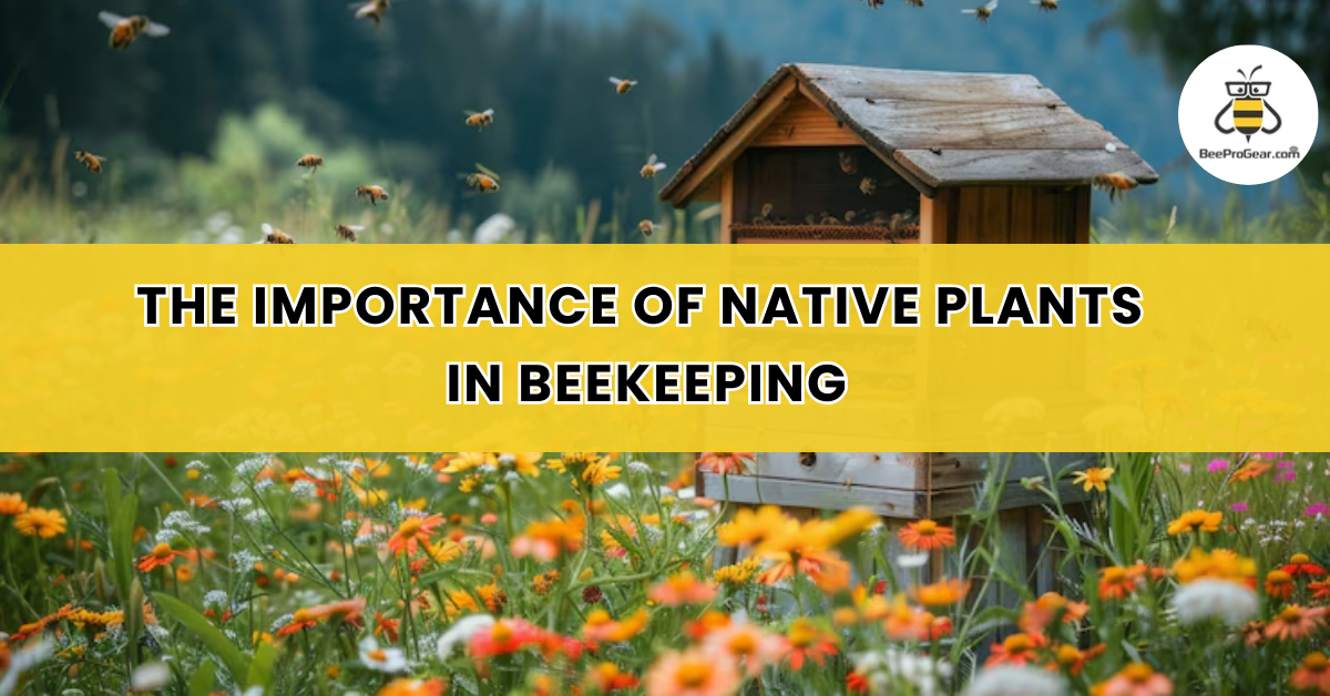 beeprogear_blog_banner_42_1200x1200.png?v=1746618986