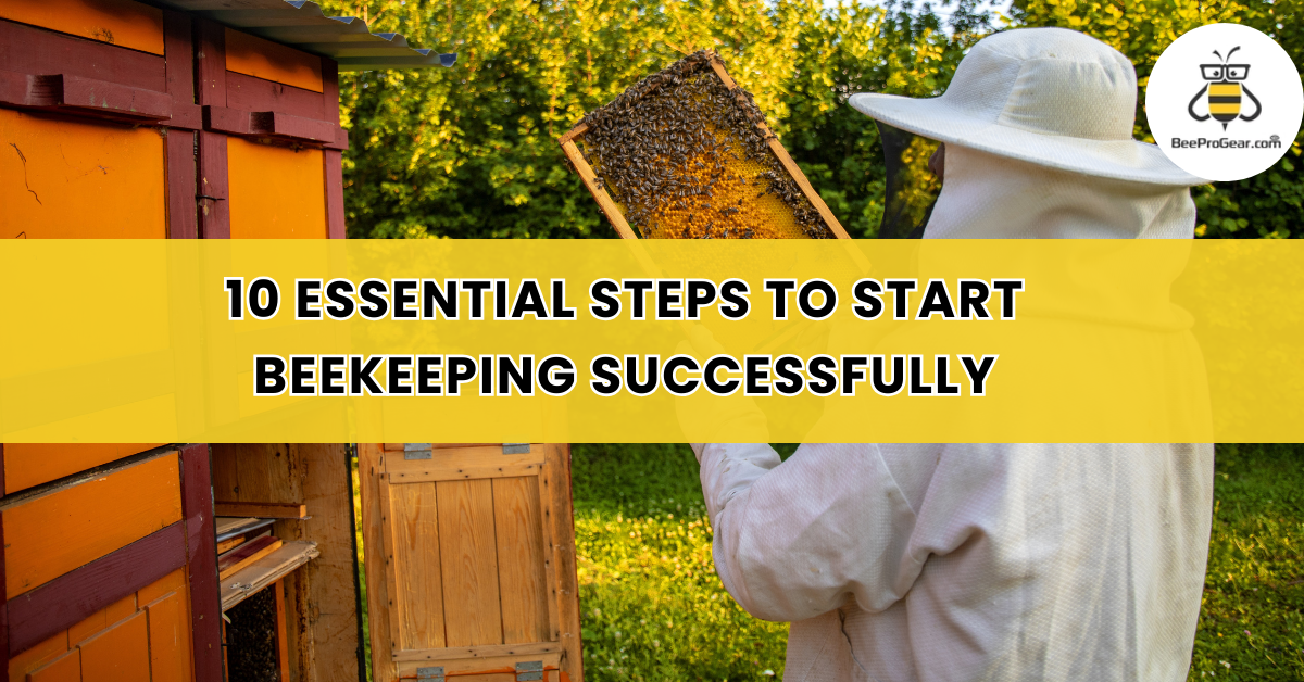 beeprogear_blog_banner_9_1200x1200.png?v=1746452473